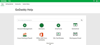 GoDaddy Reviews (Jan 2026): "A Good or Bad Web Host?"