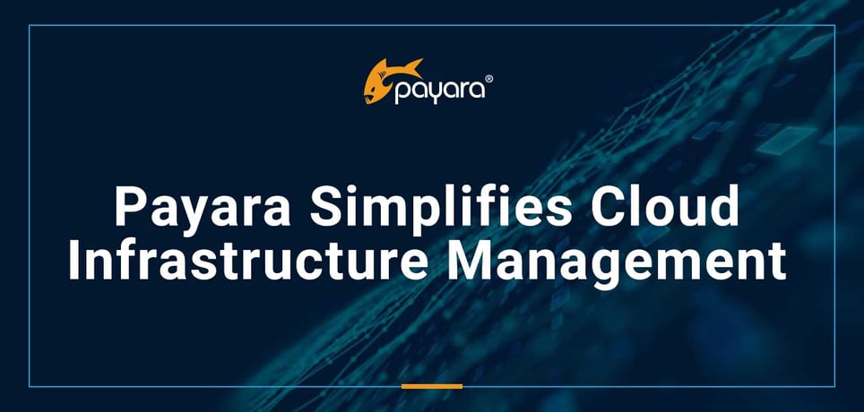 How Payara's Software for Jakarta EE and MicroProfile Apps and Its ...