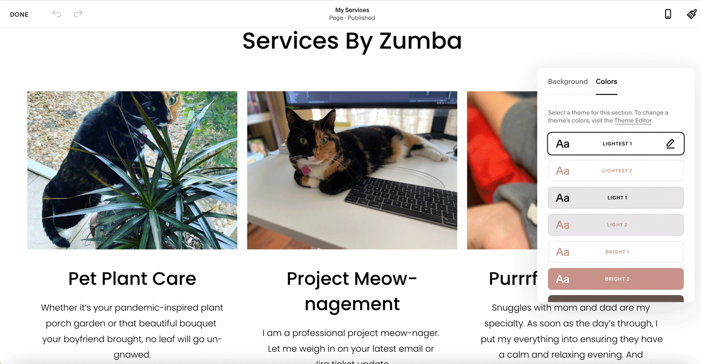How to Build a Website with Squarespace