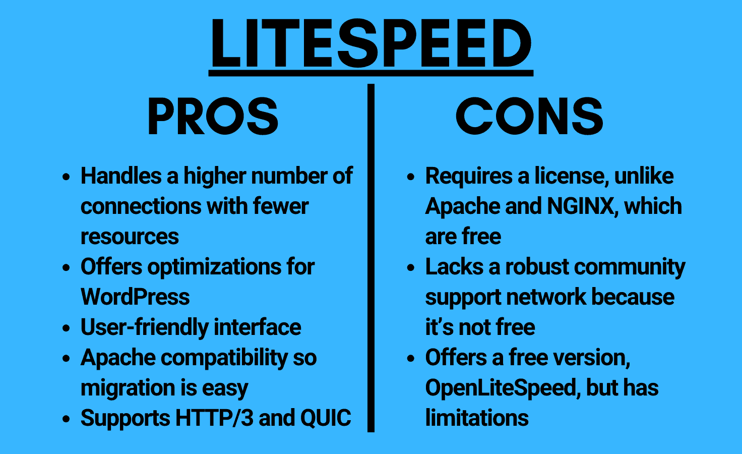 12 Best LiteSpeed Hosting Services (2024)