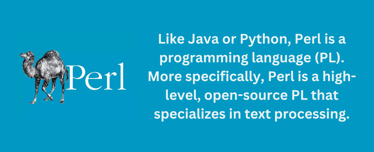 11 Best Perl Hosting Providers (Sep. 2025)