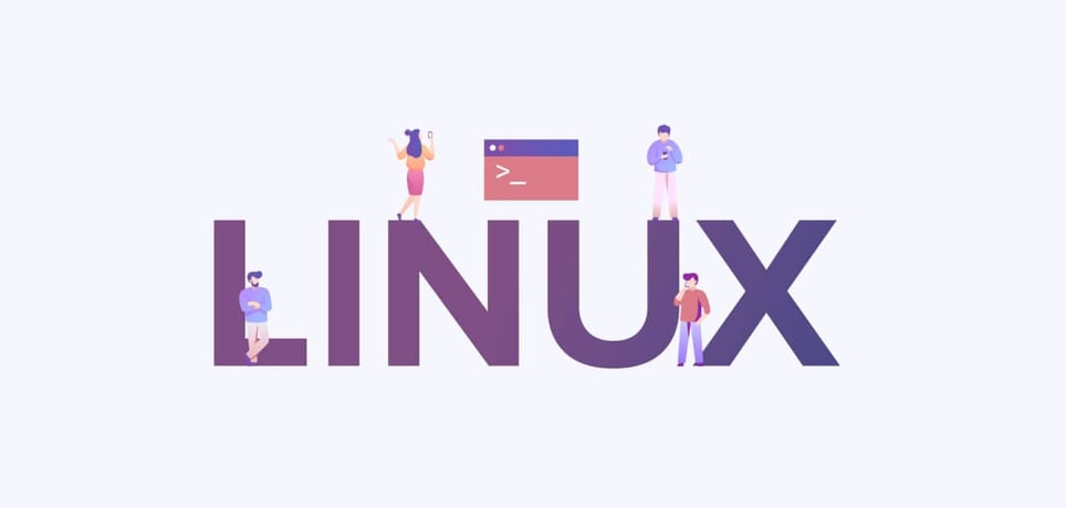 11 Best Linux Hosting With cPanel (2024)