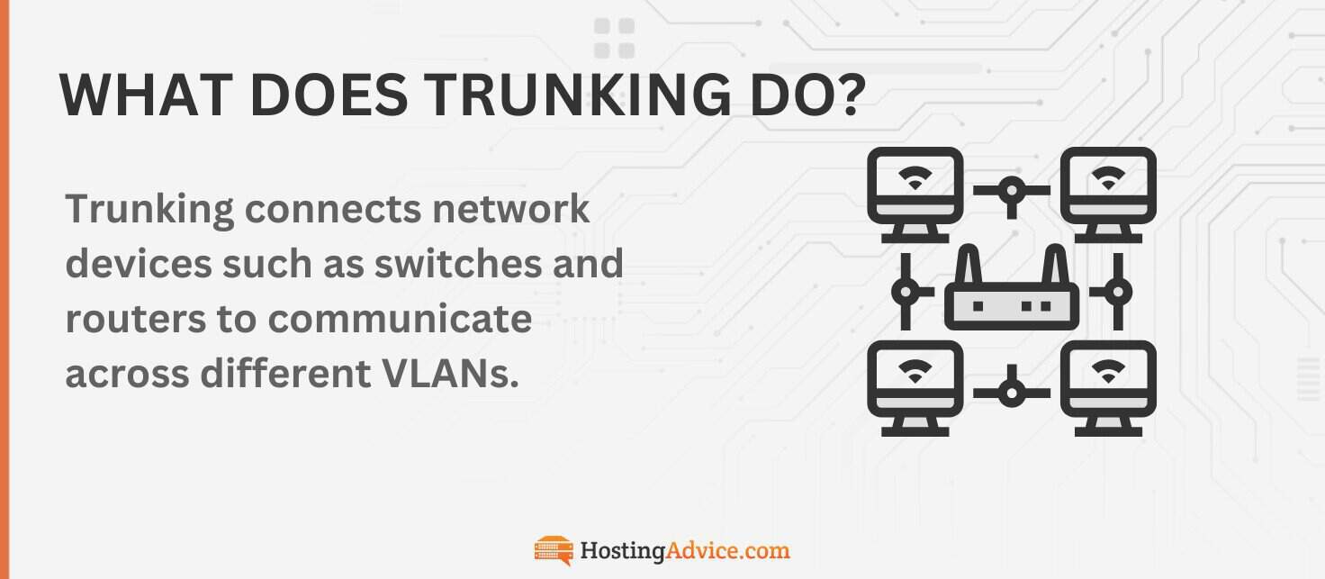 What Is a VLAN? The Key to Streamlined, Scalable, and Secure Networking