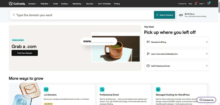 How to Point a Domain to a New Host by Changing Nameservers (and Verify ...