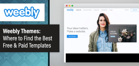 5 Best Weebly Themes (2024)